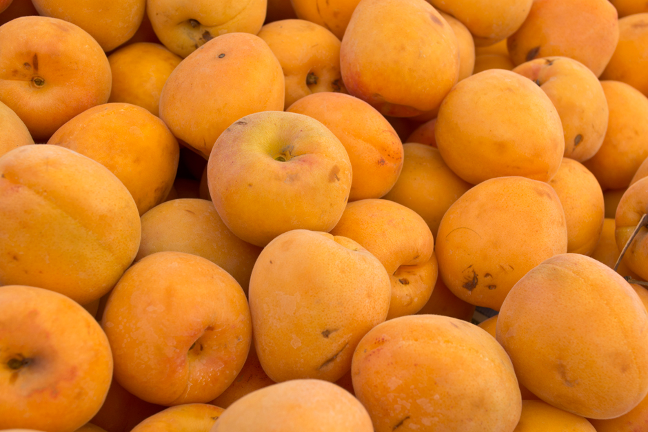 Taste of the Season | PCFMA