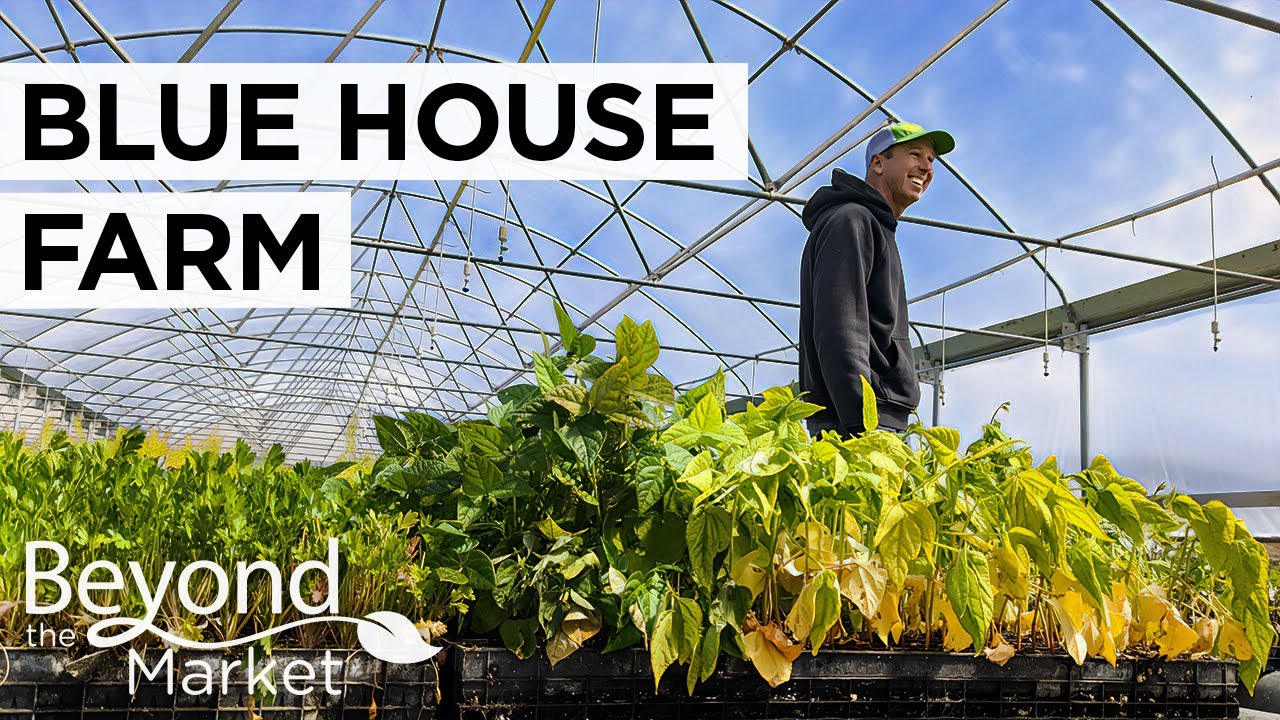 A Visit to Pescadero's Blue House Farm | PCFMA