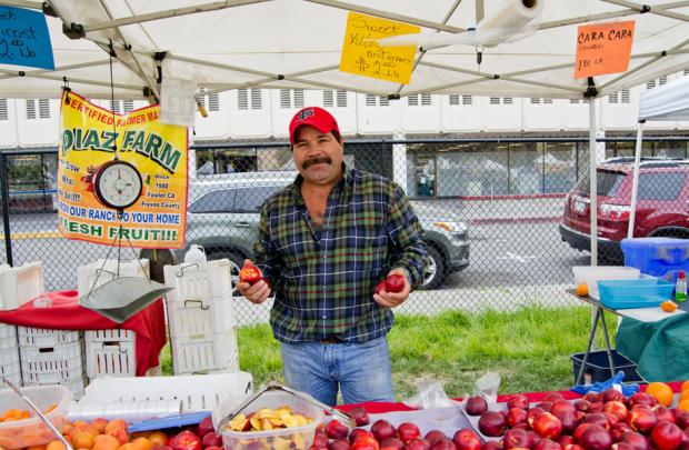 Pomegranate Juice Pops | PCFMA