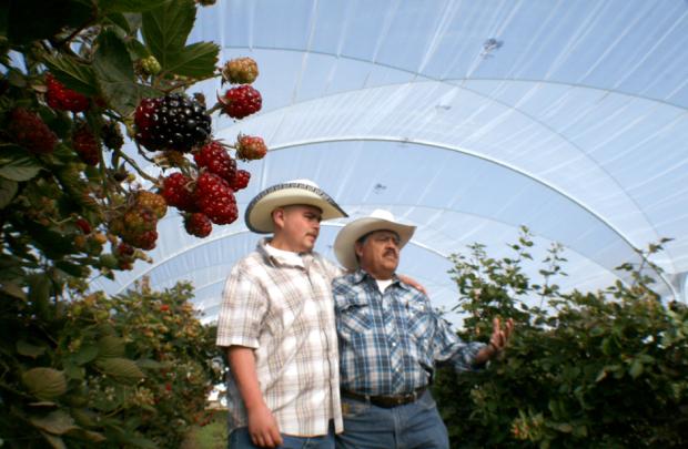 An Inside Look with Medina Berry Farms | PCFMA