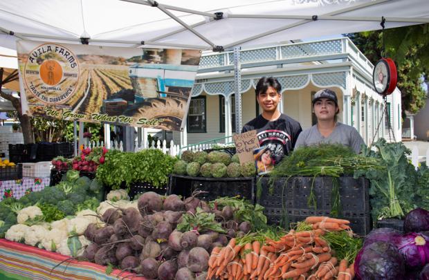 Mushroom Tacos with Citrus Salsa | PCFMA