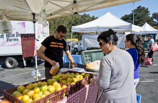 Pomegranate Juice Pops | PCFMA