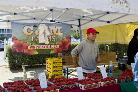 Roasted Sunchokes | PCFMA