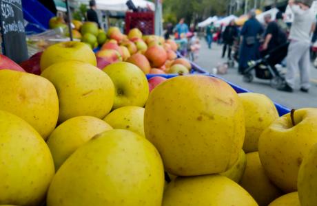 Taste of the Season | PCFMA