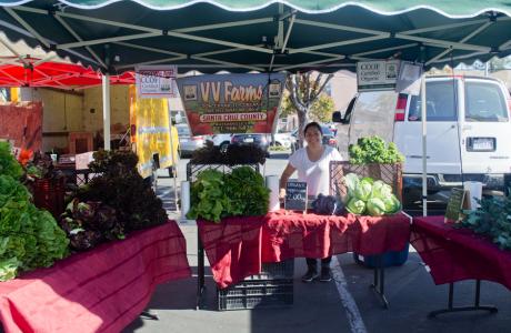 Zucchini Breakfast Keto Muffin | PCFMA