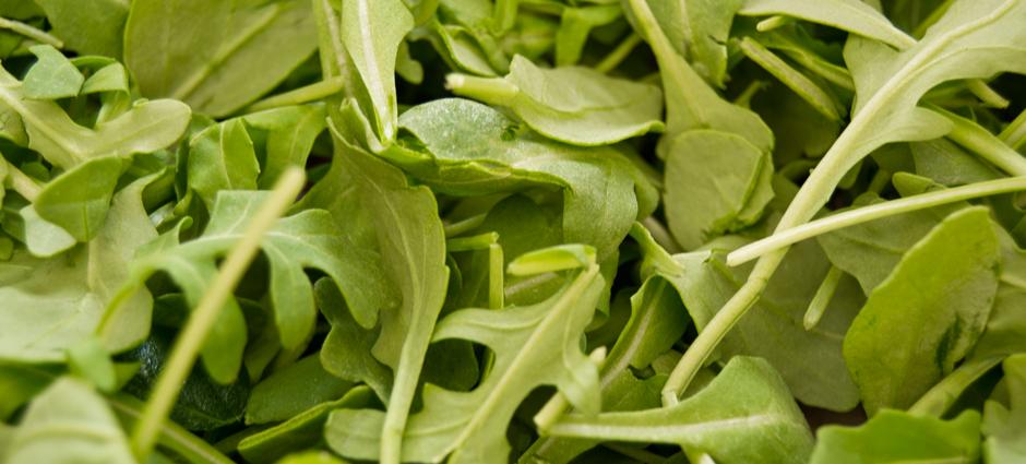 Taste of the Season | PCFMA