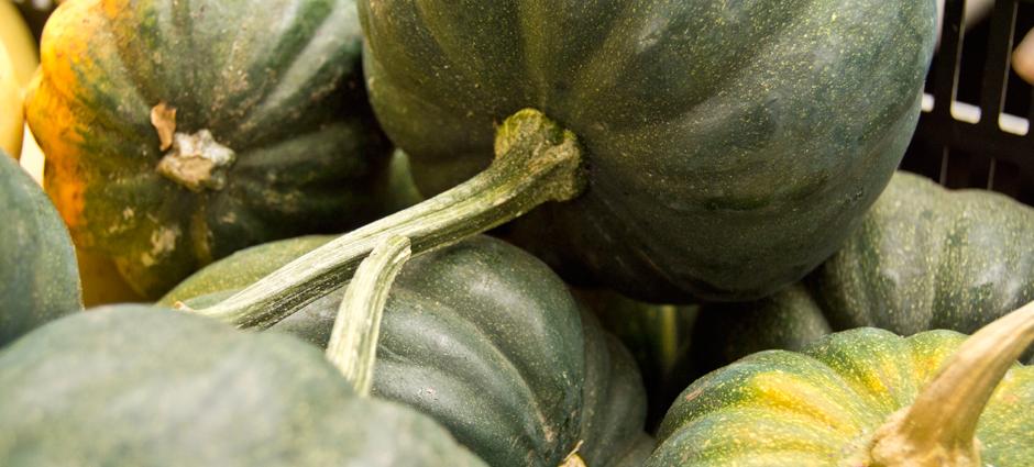 Acorn Squash | PCFMA