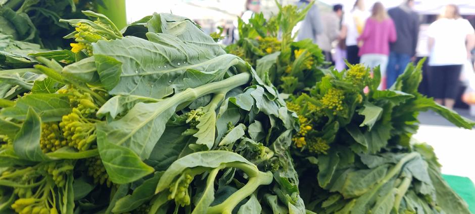 Chinese Broccoli | PCFMA