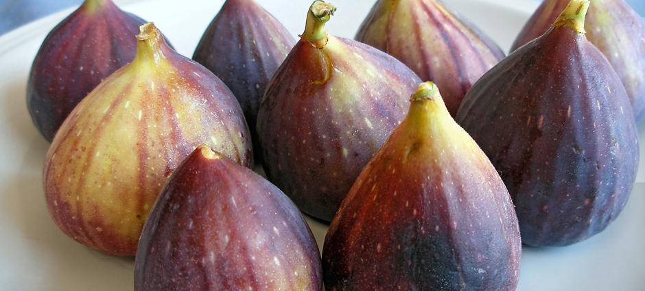 Figs | PCFMA
