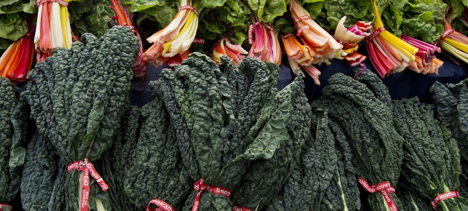Cooking with Winter Greens | PCFMA