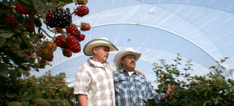 Medina Berry Farms | PCFMA
