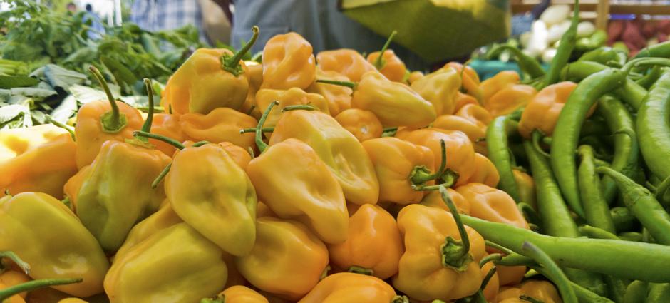 Turn Up the Heat! Hot Peppers | PCFMA