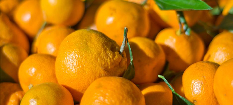 Mandarins | PCFMA