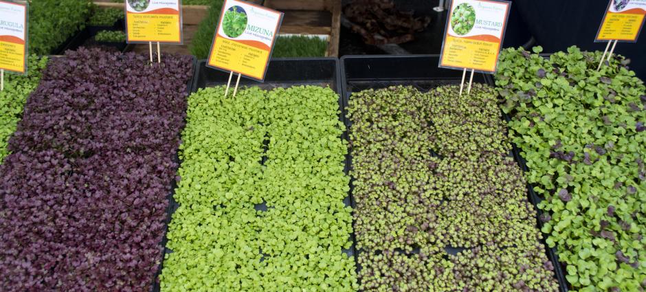 Pacific Coast Farmers' Market Association