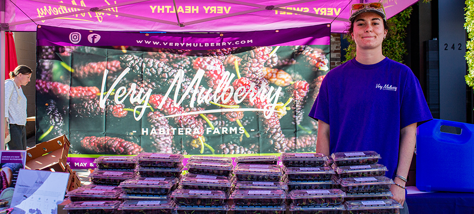 Very Mulberry by Habitera Farms | PCFMA